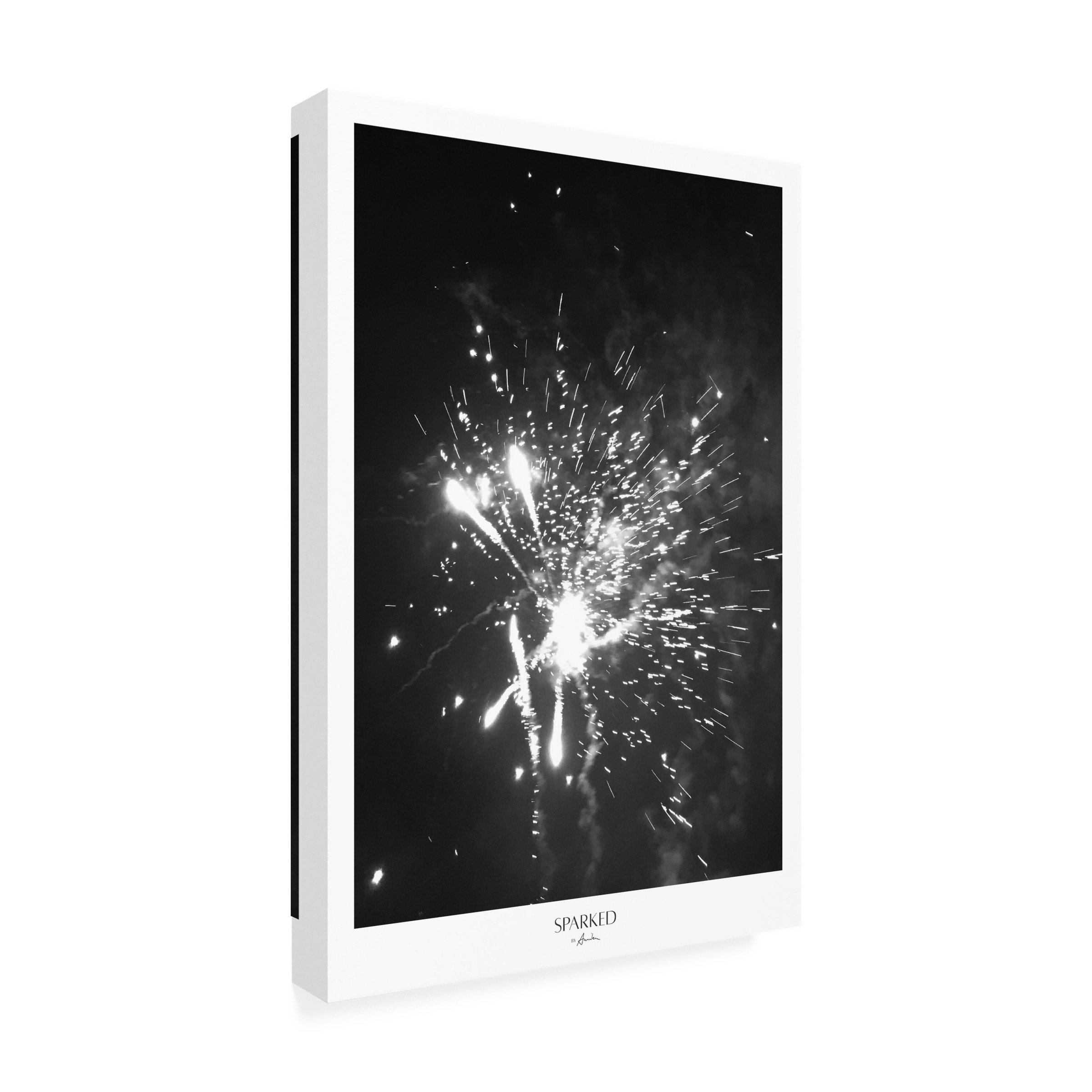 Wrought Studio™ Annika John Sparked Canvas Art | Wayfair